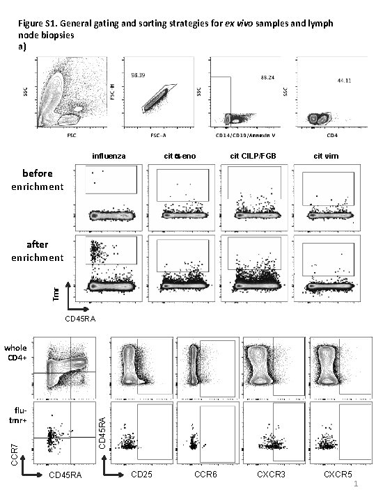 Figure S 1 General gating and sorting strategies