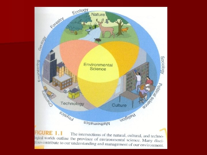 Environmental Science Chapter 1 An Introduction Section 1