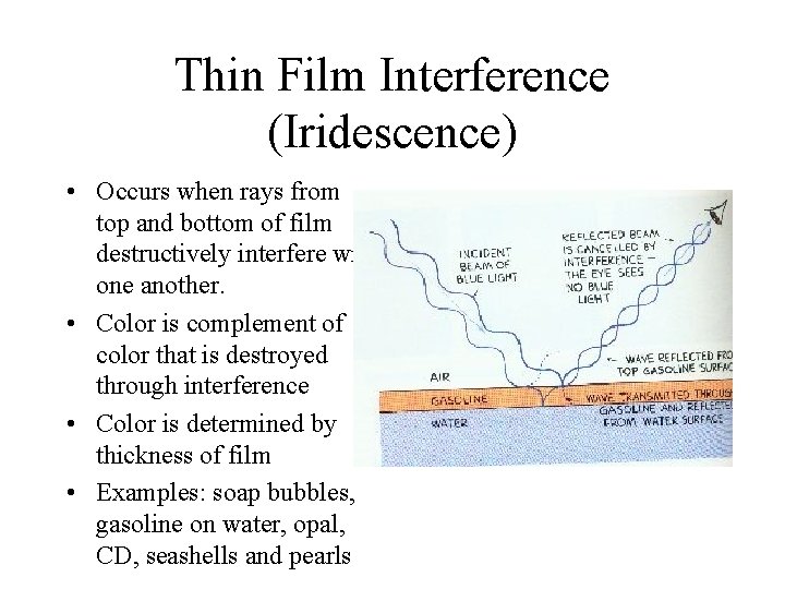 Diffraction and Interference Or Thomas Young was One