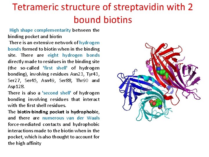 Covalent Attachment of a Modified Probe Functionalized Surfaces