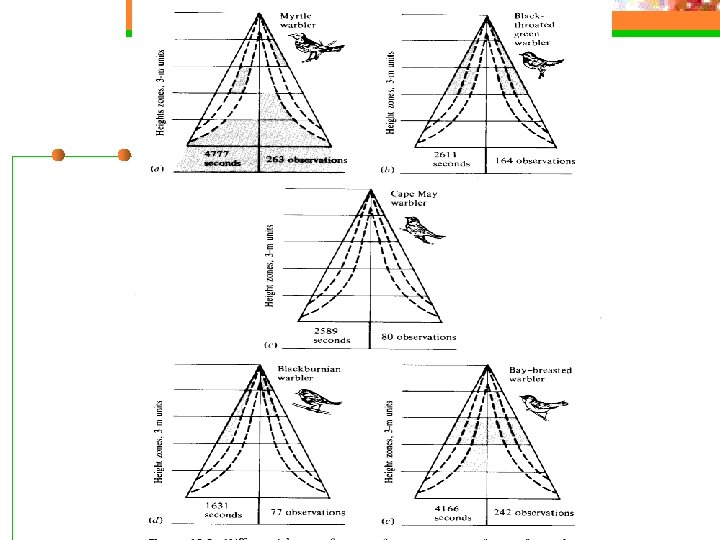 Community Processes More on Competition Theory How it