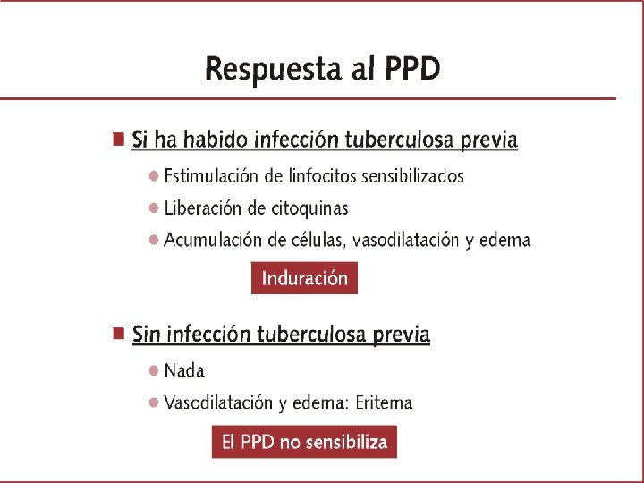 Qu es la Tuberculosis Enfermedad causada por las