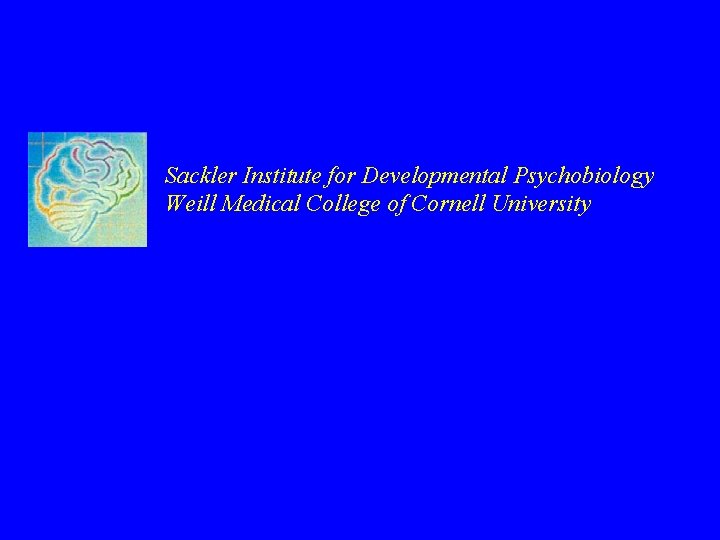 Sackler Institute for Developmental Psychobiology Weill Medical College