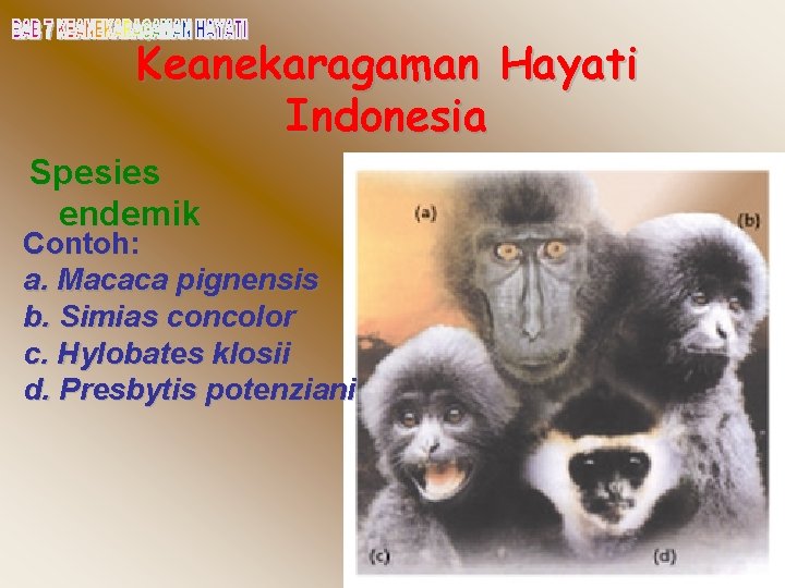 BAB 7 KEANEKARAGAMAN HAYATI POKOK BAHASAN Tingkat Keanekaragaman