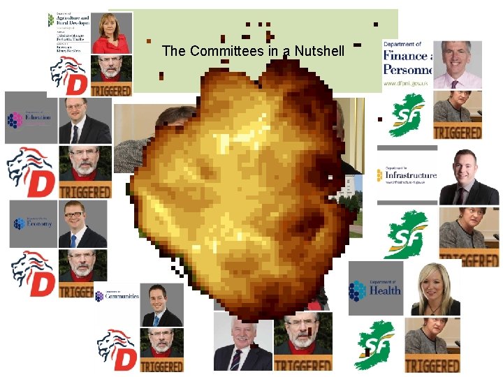 NI Committees System By Robbie Arlene Taylor and