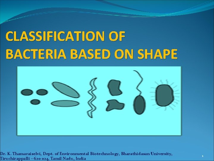 CLASSIFICATION OF BACTERIA BASED ON SHAPE Dr K