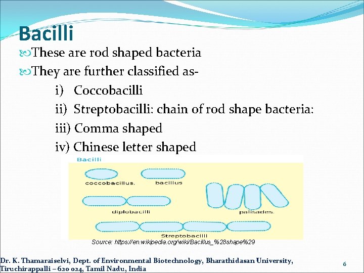 CLASSIFICATION OF BACTERIA BASED ON SHAPE Dr K