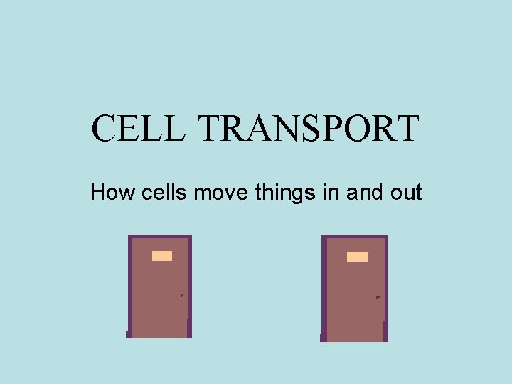 CELL TRANSPORT How cells move things in and