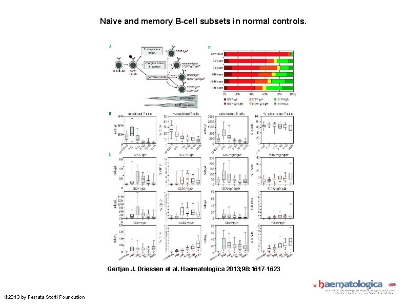 Common variable immunodeficiency and idiopathic primary ...