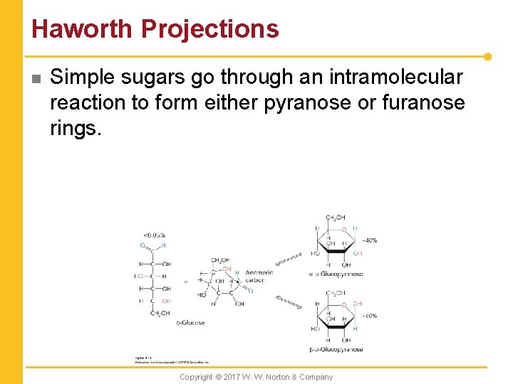 Chapter 9 Glycolysis 9 1 Overview of Metabolism