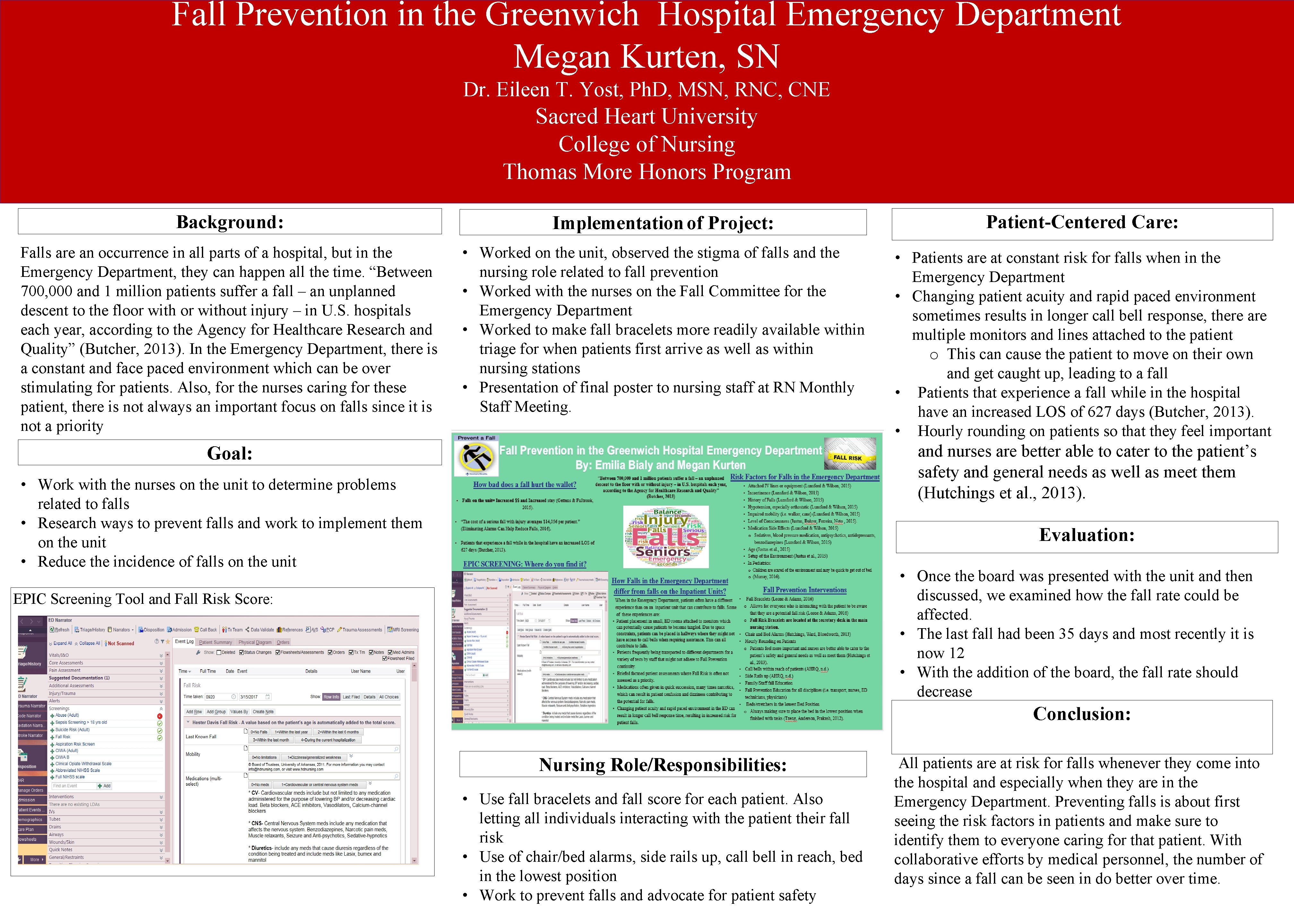 Fall Prevention in the Greenwich Hospital Emergency Department