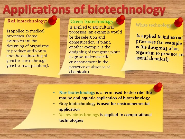 Biotechnologies Recombinant Dna Cloning Gel electrophoresis GMO Human