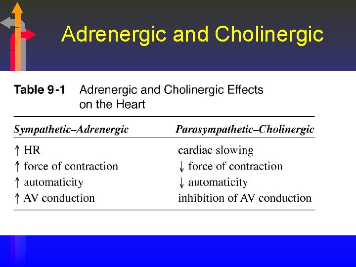 CARDIOVASCULAR AGENTS MODULE H Objectives The student will