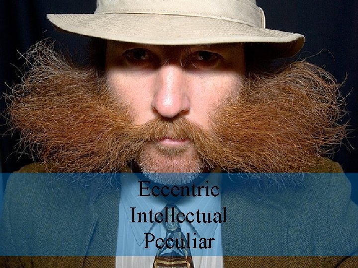 Portraits Capturing Expressions and Emotions What is a