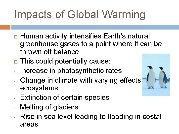 THE GREENHOUSE EFFECT Stephanie Seto The Carbon Cycle