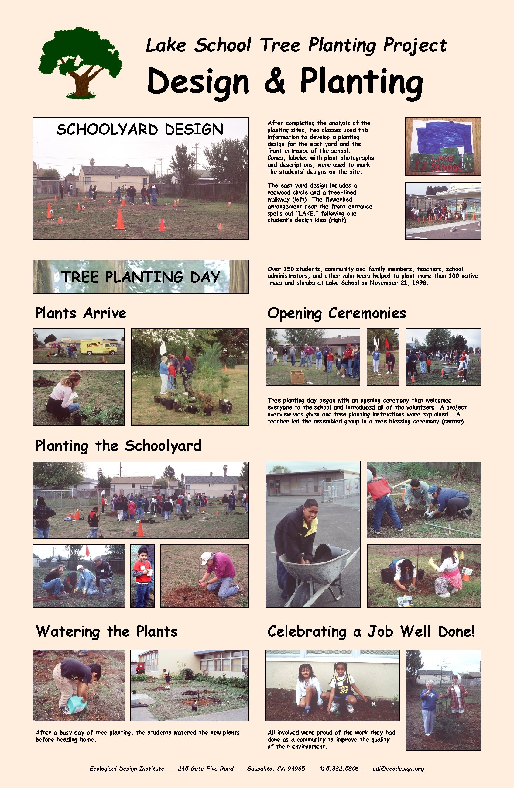 Lake School Tree Planting Project Design Planting SCHOOLYARD