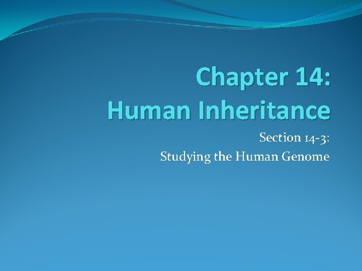 Chapter 14 Human Inheritance Section 14 3 Studying