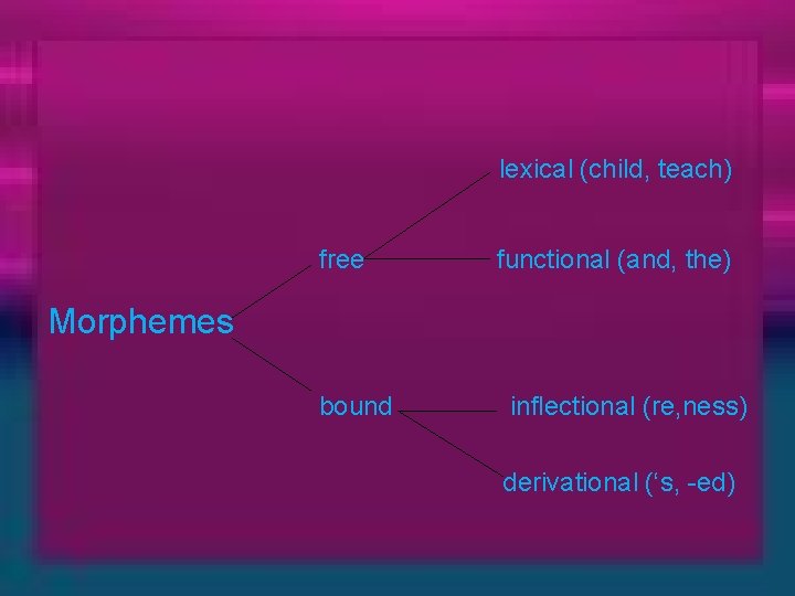 MORPHOLOGY Morphology l The study of internal structure