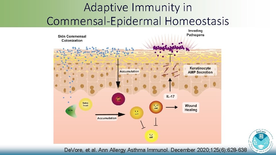 On the Surface Skin Microbial Exposure Contributes to