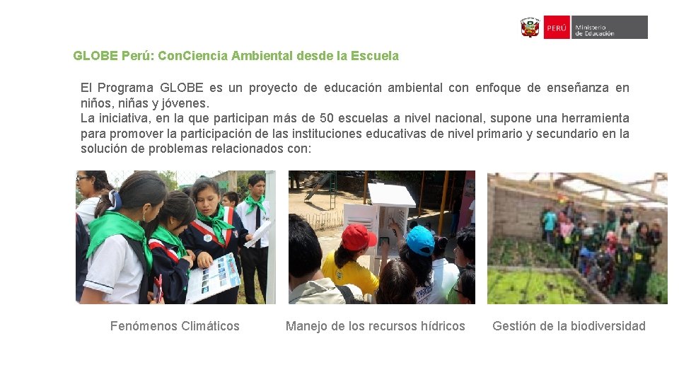 PROYECTO EDUCATIVO AMBIENTAL INTEGRADO VIDA Y VERDE VIVE