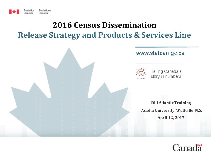 2016 Census Dissemination Release Strategy and Products Services
