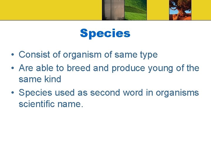 Hierarchical Structure of the Classification of Organisms Classification