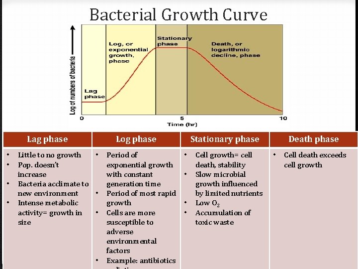 Microbial G rowth Microbiolog y Microbial Growth 0