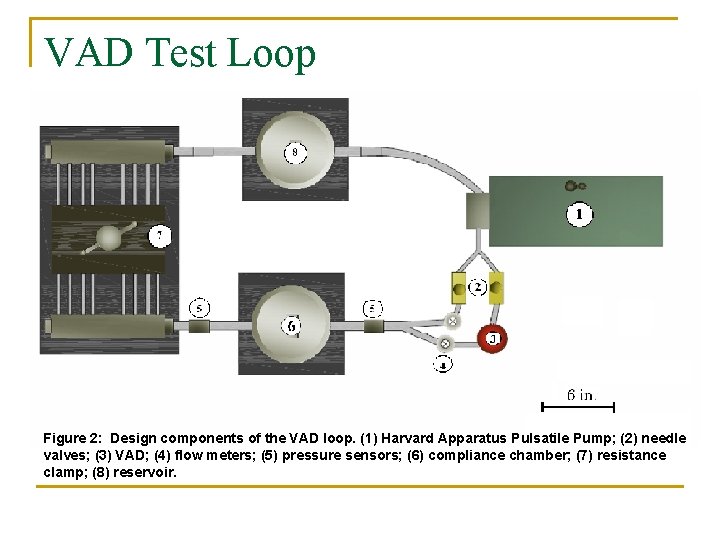 Ventricular Assist Device Test Loop Client Minnetronix Inc