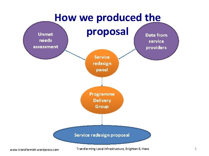 Transforming Local Infrastructure Brighton Hove Service redesign proposal