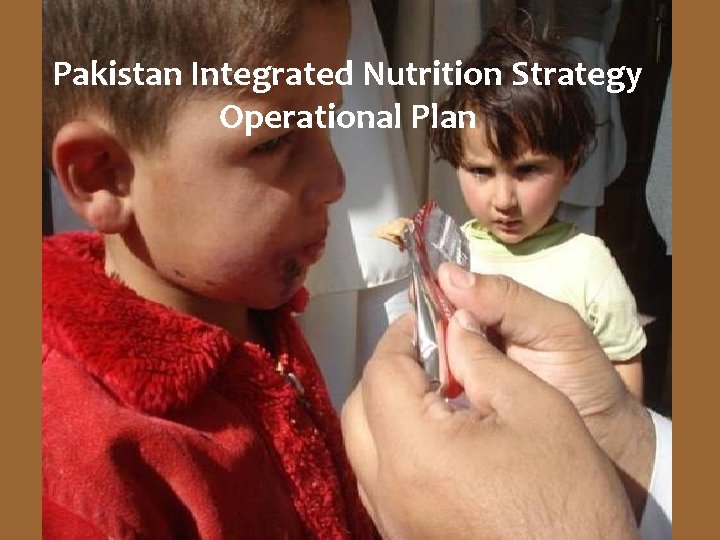 Pakistan Integrated Nutrition Strategy Operational Plan Indicators ...