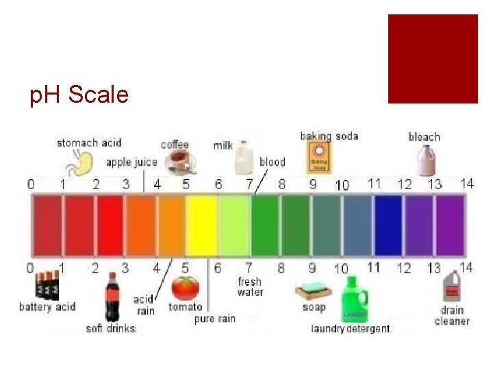 6 2 The p H Scale and Indicators