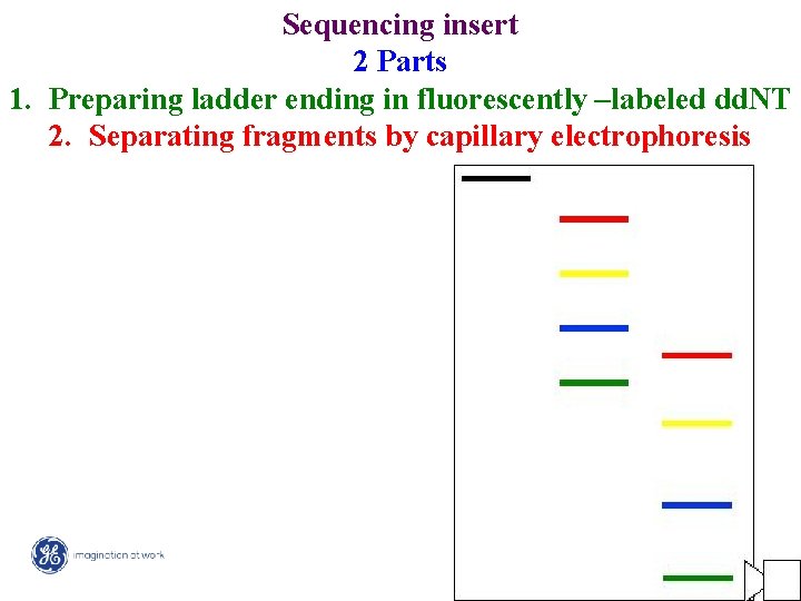 Sequencing insert 2 Parts 1 Preparing ladder ending