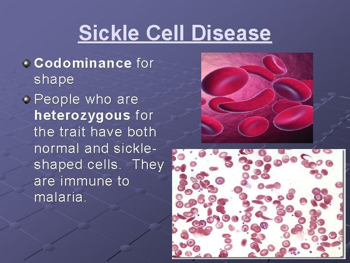 Patterns of Heredity NonMendelian Genetics Kraj Incomplete Dominance