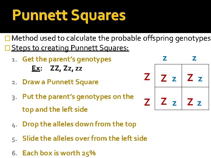 Punnett Squares Method used to calculate the probable