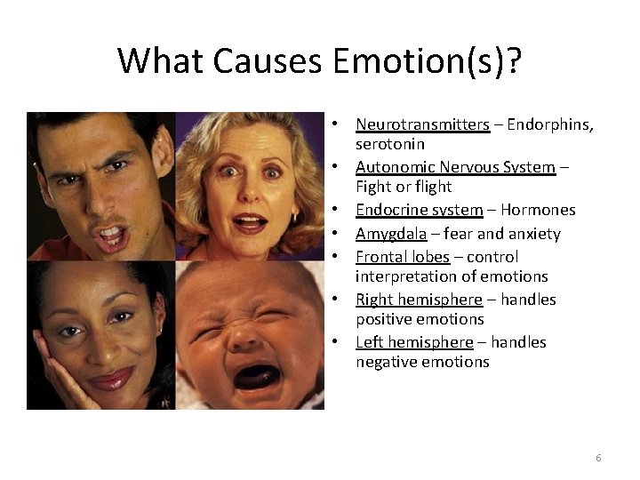 February 6 EQ How do we experience emotion