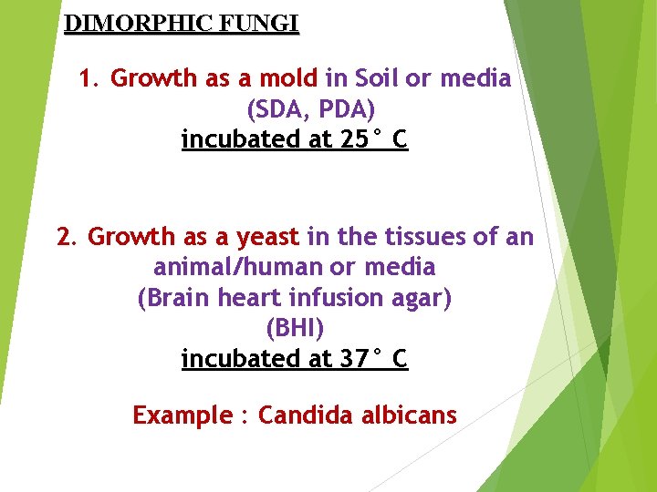Medical Mycology Lecture 1 By Dr Zaid Shaker