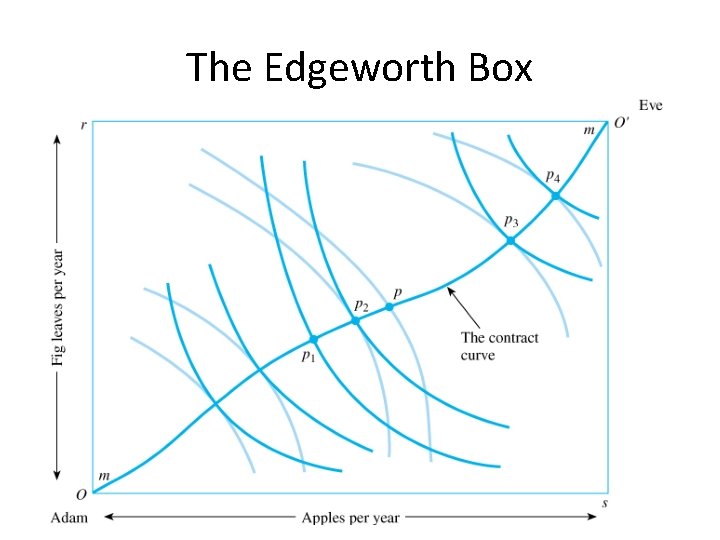 Consumer Behavior Public Policy Lecture 3 Microeconomics Topics