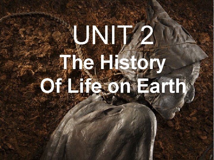 UNIT 2 The History Of Life on Earth