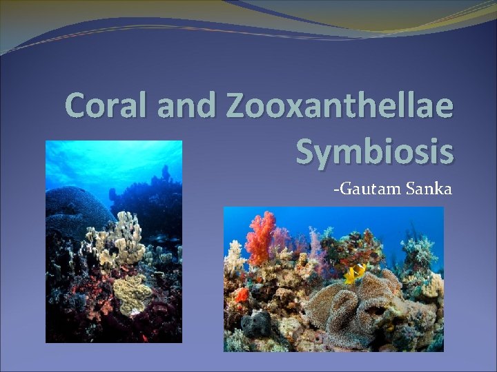 Coral and Zooxanthellae Symbiosis Gautam Sanka What is