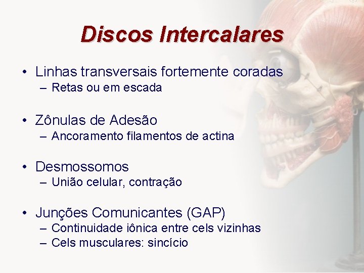 Tecido Muscular MEDICINA HISTOLOGIAFOBUSP O sistema muscular do