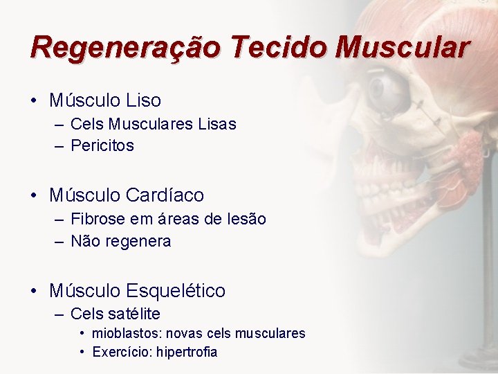 Tecido Muscular MEDICINA HISTOLOGIAFOBUSP O sistema muscular do