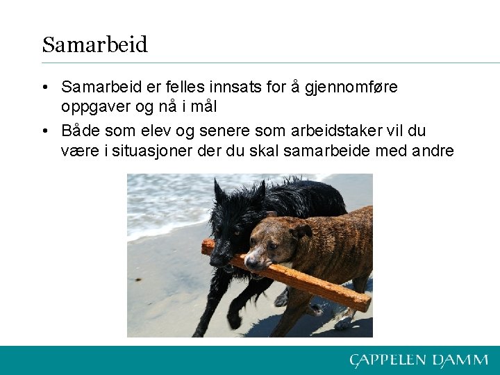 Samarbeid og konflikt Samarbeid Samarbeid er felles innsats