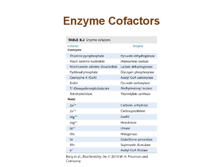 Chapter 8 Enzymes Basic Concepts and Kinetics 2019