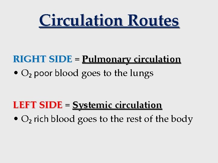 What is the circulatory system The circulatory system