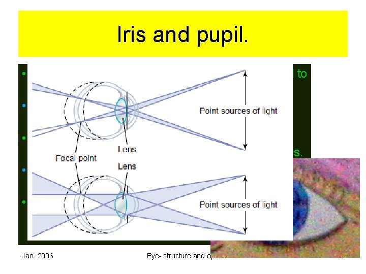 Eye Structure and Refraction Prof K Sivapalan Structure