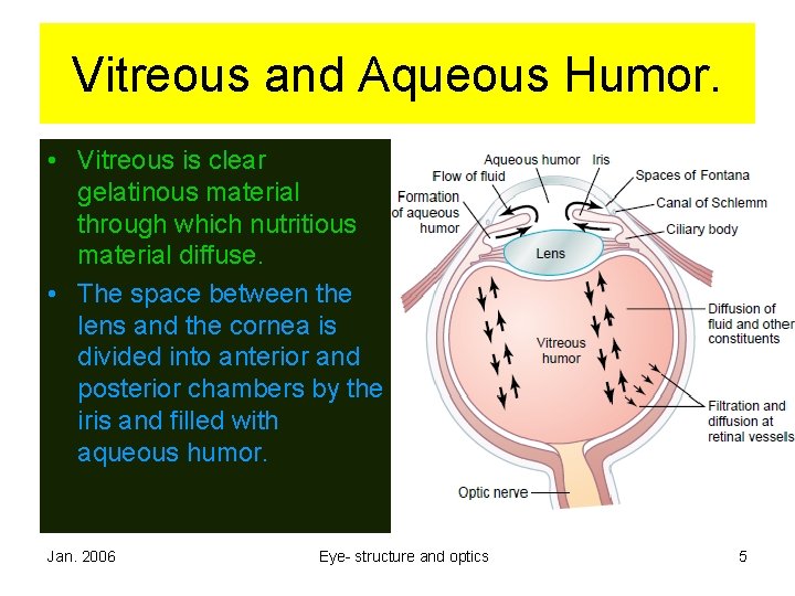 Eye Structure and Refraction Prof K Sivapalan Structure