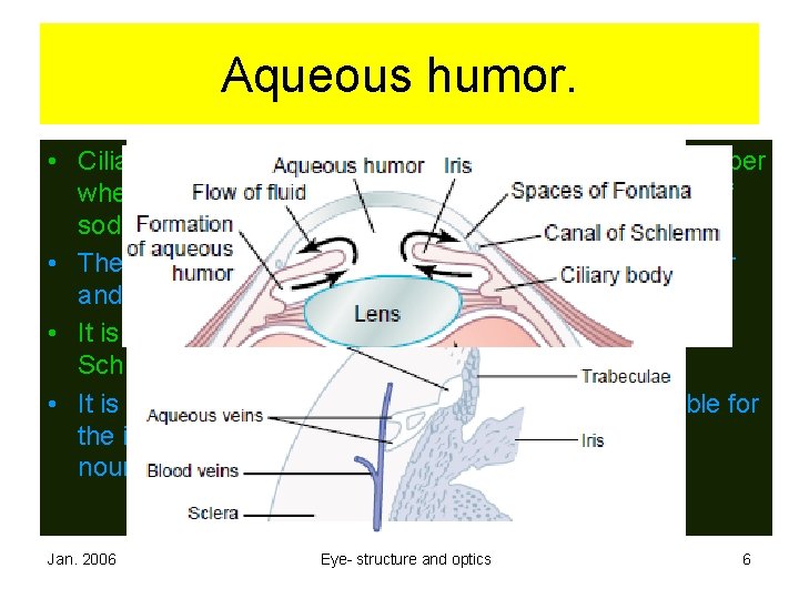Eye Structure and Refraction Prof K Sivapalan Structure
