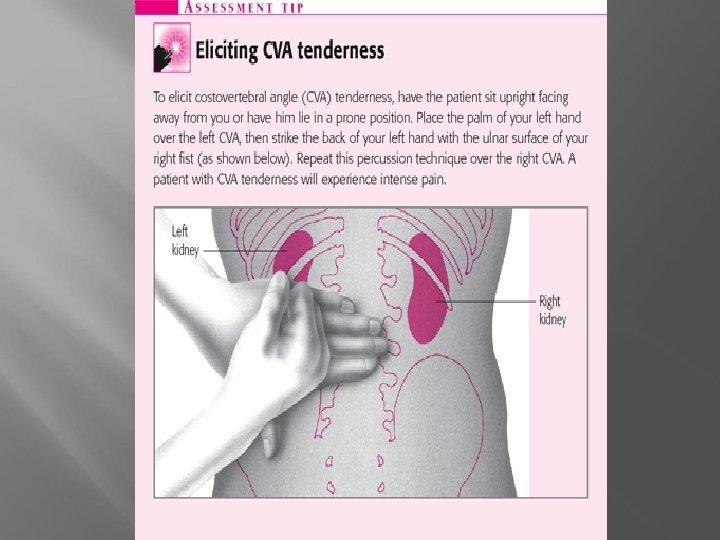 RENAL SEMEIOLOGY By Maryam Hami MD Associate Prof