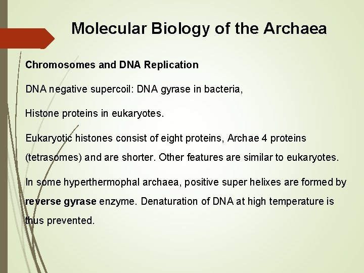 Molecular Biology of the Archaea Chromosomes and DNA