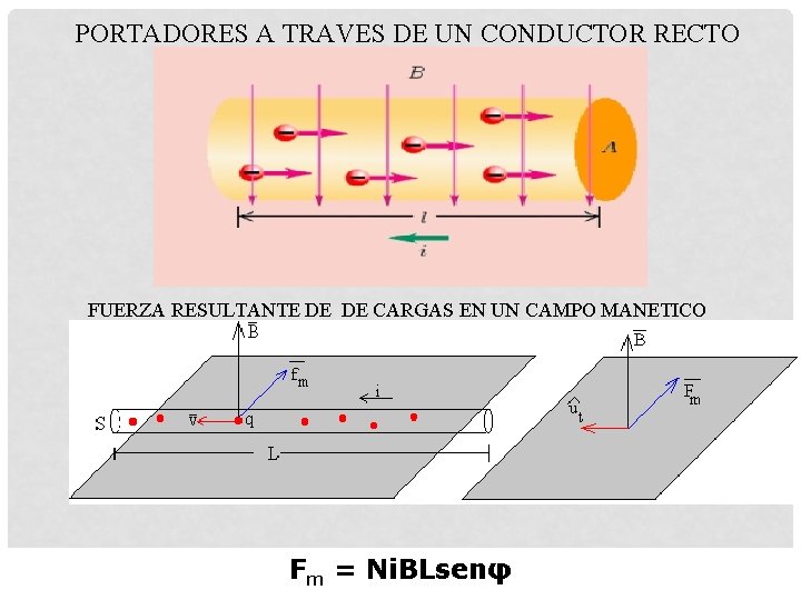 PORTADORES A TRAVES DE UN CONDUCTOR RECTO FUERZA